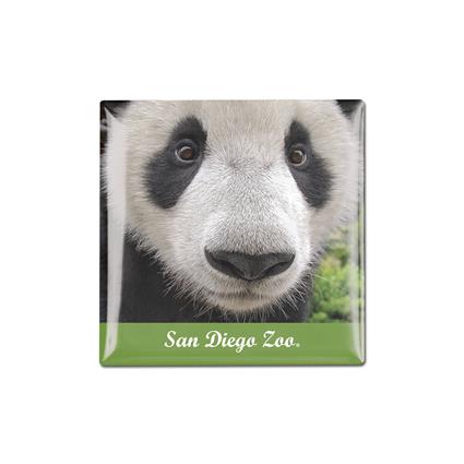 Full Color Square safety pin back Button - LarLu