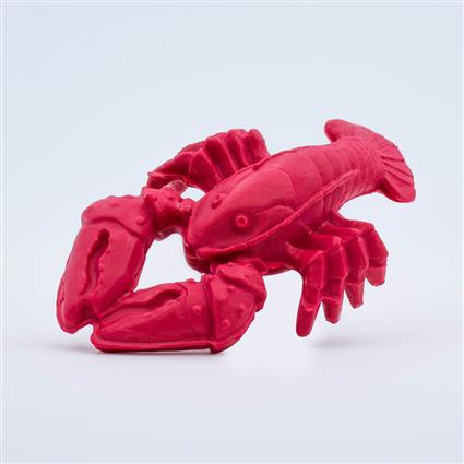 Pencil Top Stock Eraser- Lobster - LarLu