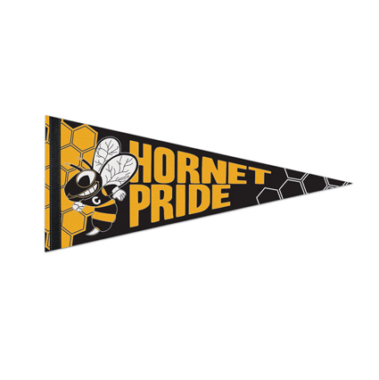 8" x 18" Premium Felt Pennant - LarLu