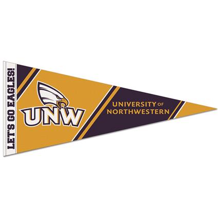 8" x 18" Premium Felt Pennant - LarLu